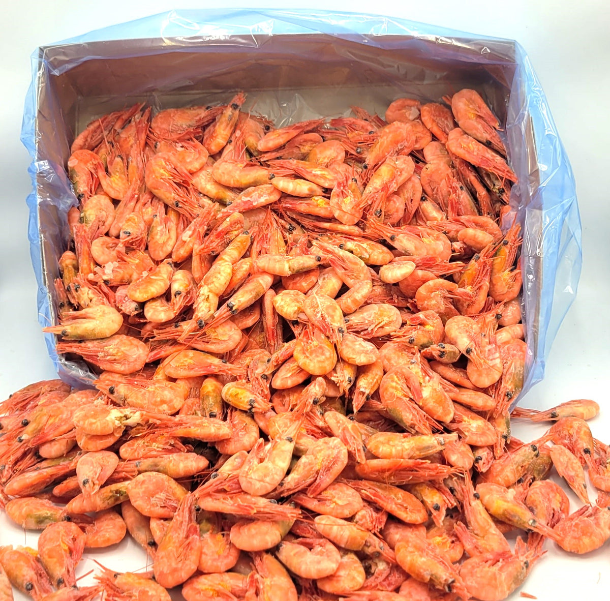 Ocean Packers : HEAD-ON NORWAY COOKED PANDALUS SHRIMP (5 KGS) - POLAR BRAND