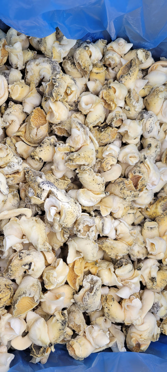 Whelk Meat (No Shell) – Ocean Packers