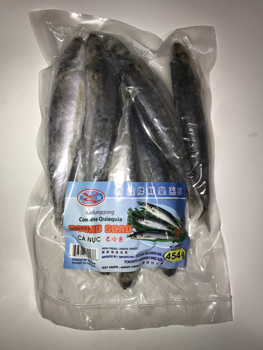 Round Scad – Ocean Packers